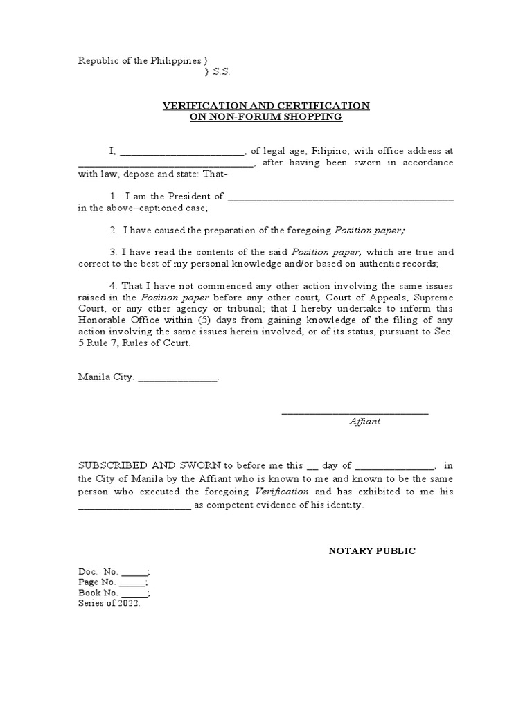 Verification For Position Paper | PDF