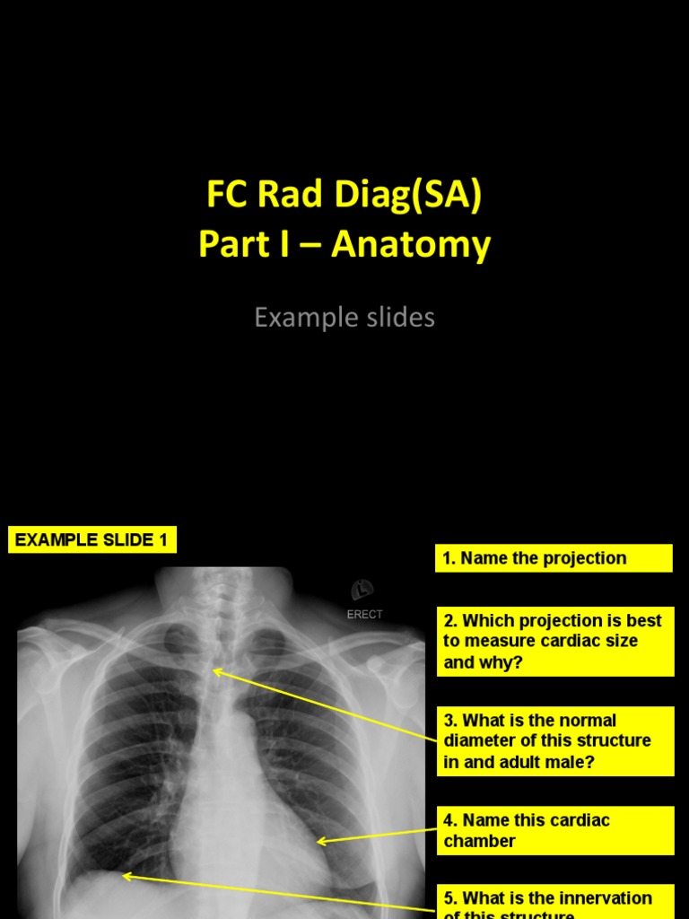 FC Rad Diag (SA) Part I - Anatomy Example Slides 9 1 2023 | PDF