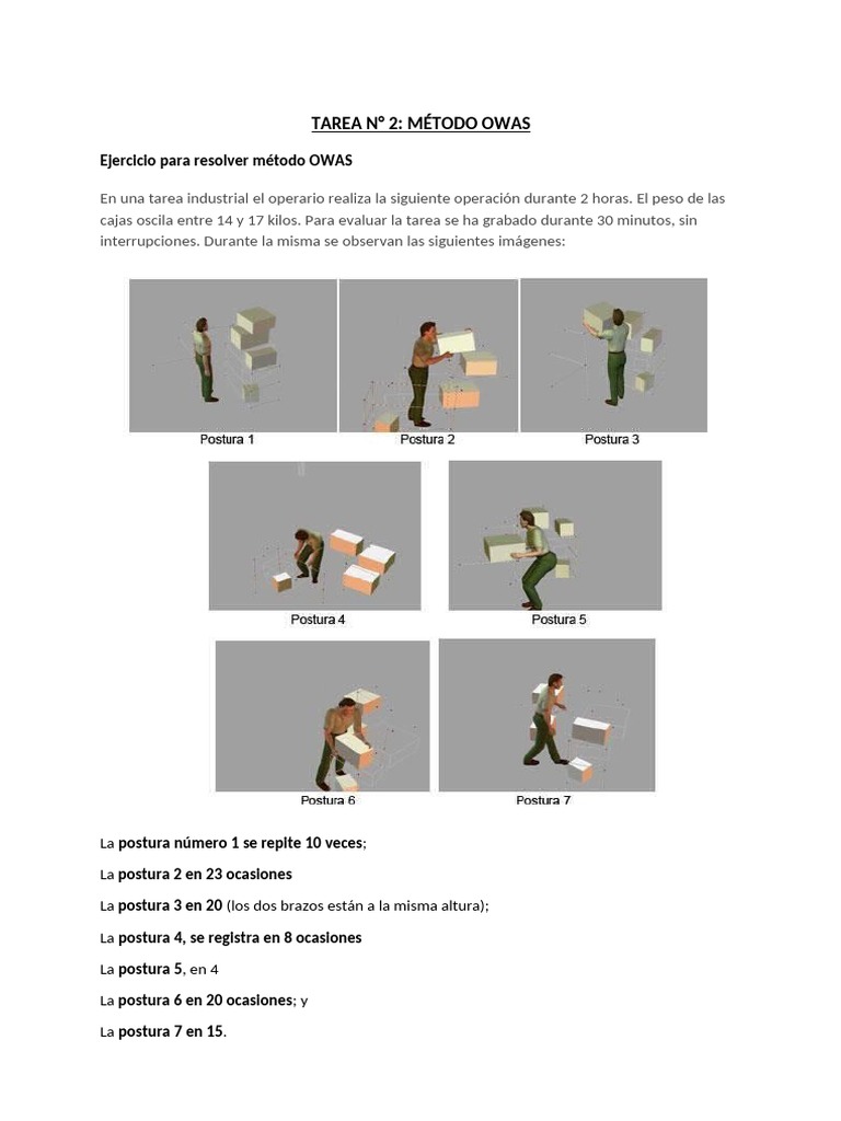 Método OWAS y NIOSH | PDF