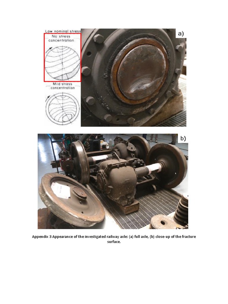 Appendix 3 Appearance of The | PDF