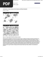 Identification of Basic Patterns - Skin - Fibrosing Dermatitis | PDF ...