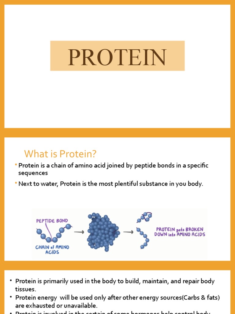 Protien | PDF