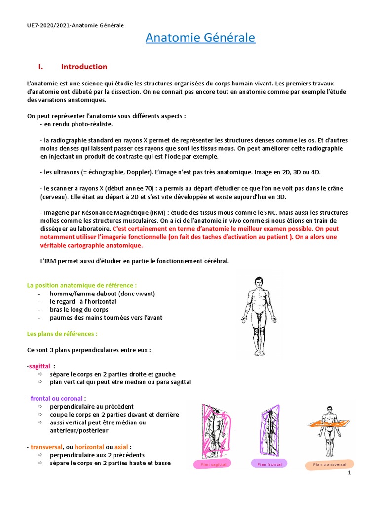 Anatomie Générale du Corps Humain | PDF | Articulation (anatomie ...
