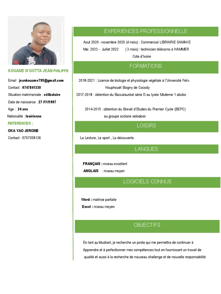 CV Jean Philippe PDF | PDF