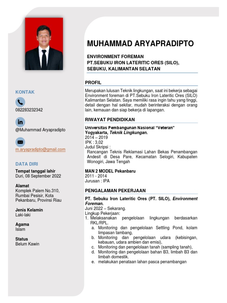 Profil Profesional Aryapradipto | PDF | Seni | Sains & Matematika