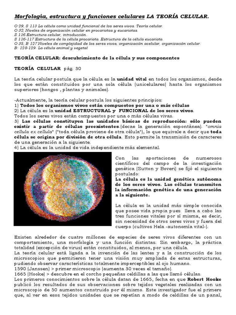 PDF Download Morfologia Estructura y Funciones Celulares La Teoria Celular | PDF | Biología ...