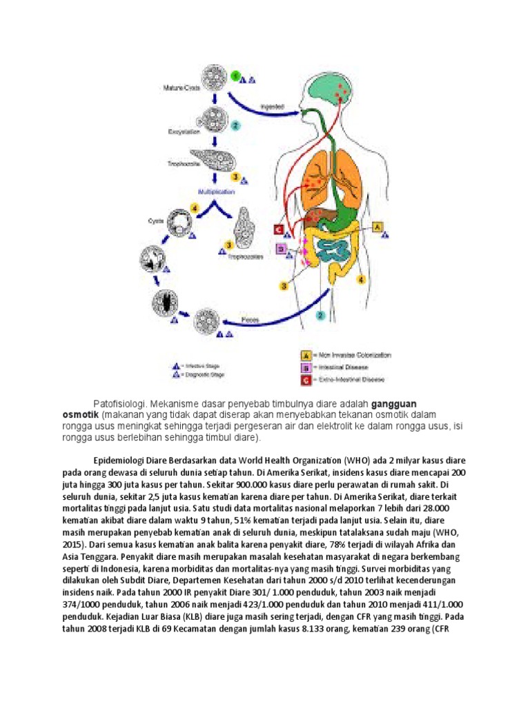 Patofisiologi Diare | PDF