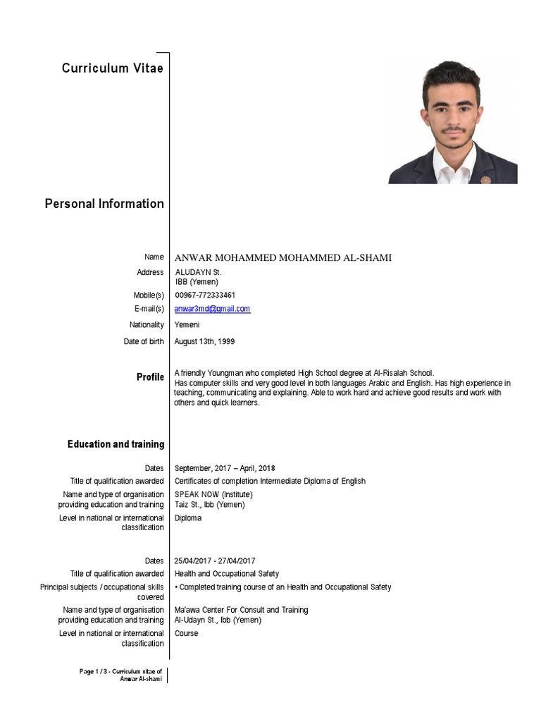Curriculum Vitae: Profile | PDF | Yemen | World Politics