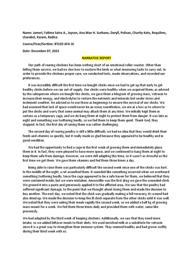 Narrative Report On Poultry Raising | PDF | Poultry | Chicken