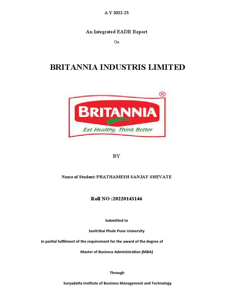 Integrated EADR Report Format | PDF | Business | Marketing