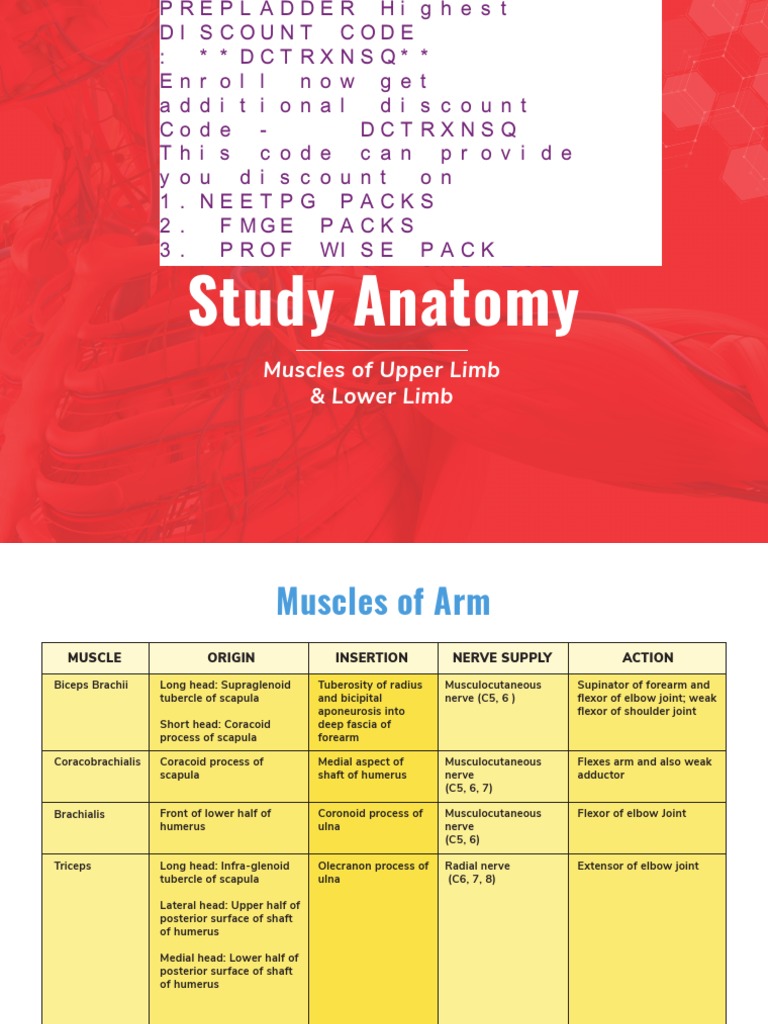 Prepladder Rapid Revision Points & Tables | PDF | Thumb | Human Leg