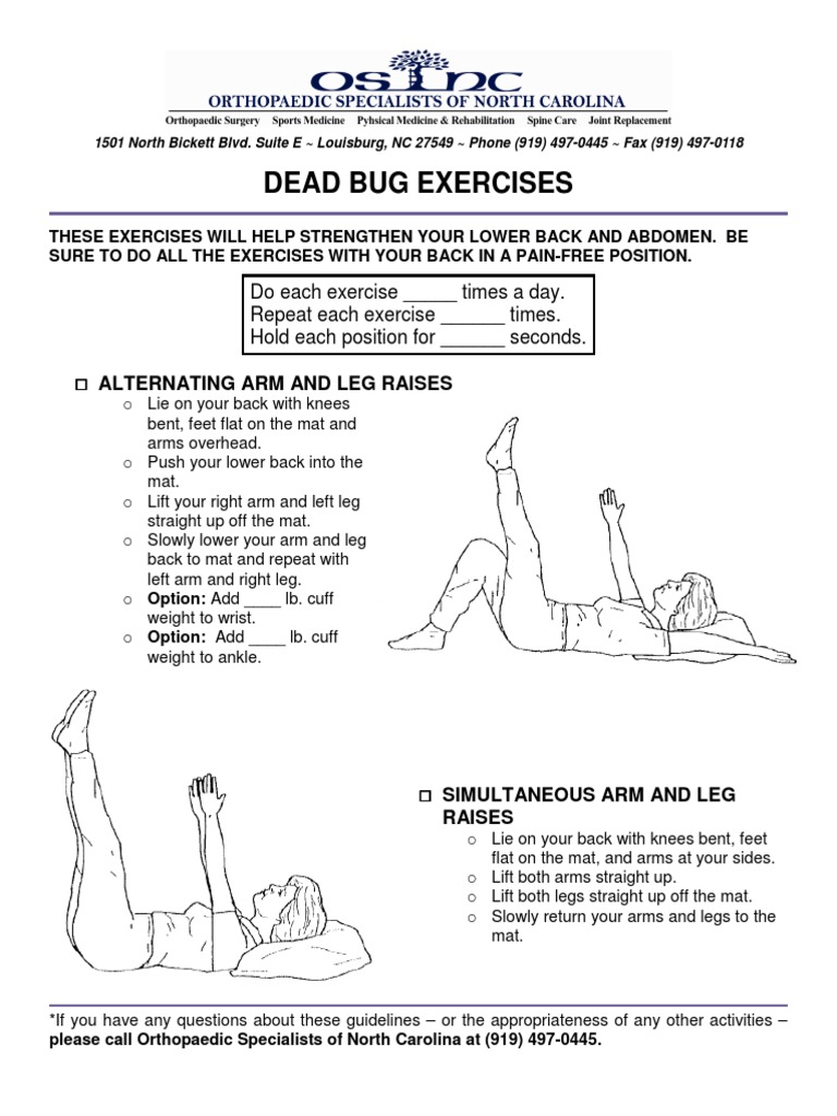 Dead Bug Abdominal Bracing Exercises | PDF | Human Anatomy