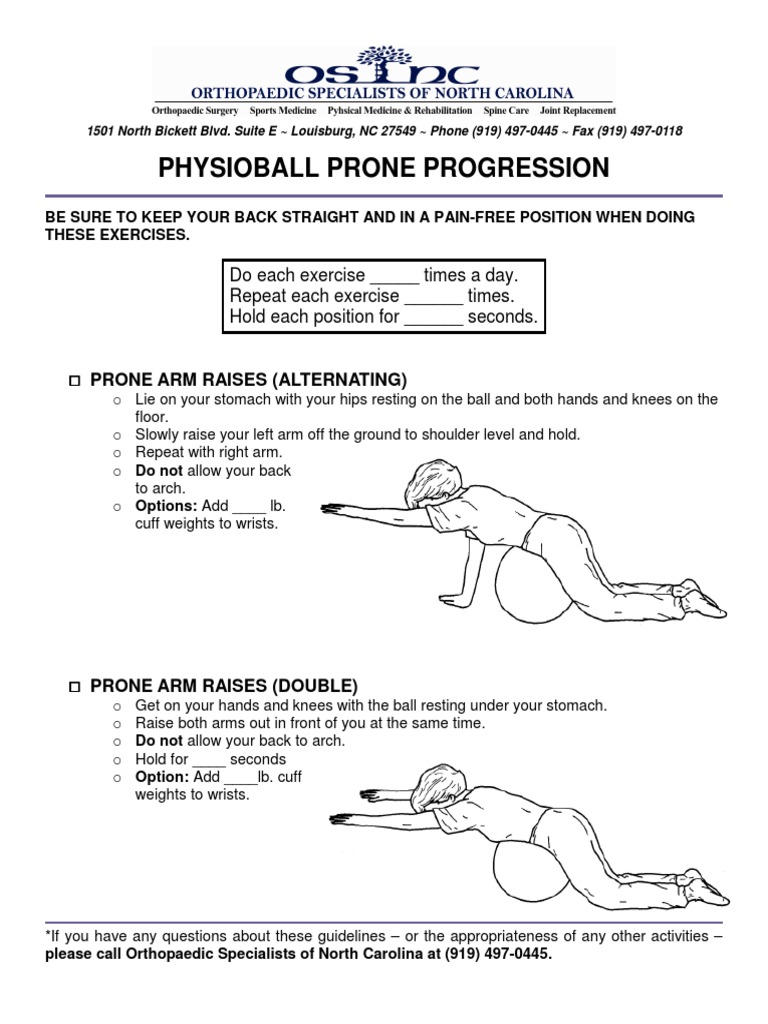 Physioball Prone Progression | PDF | Human Anatomy | Recreation