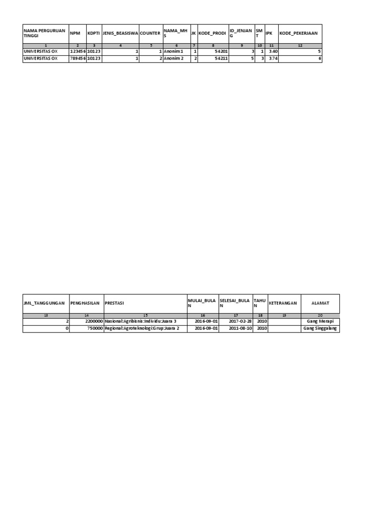 Format Data Ppa | PDF