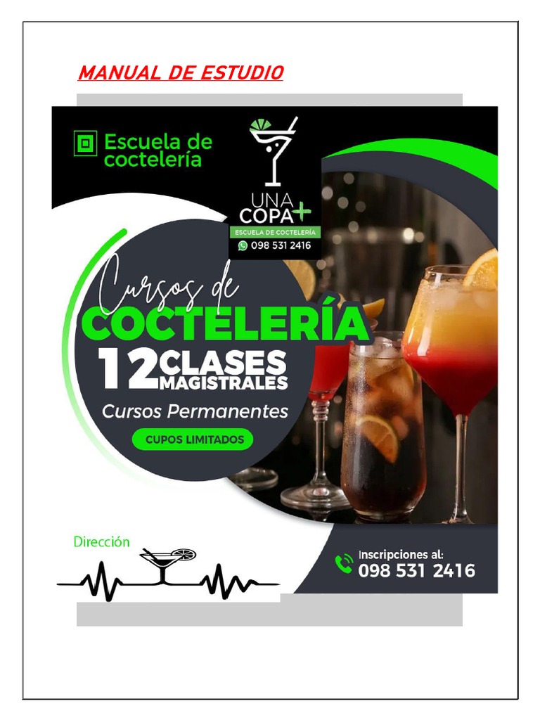 Manual de Estudio Curso Bartender Master & | PDF | Whisky | Ron