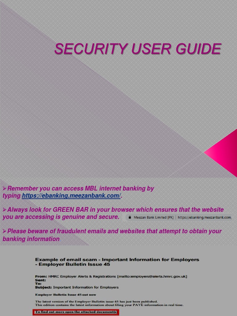 Security User Guide | Download Free PDF | Password | Security
