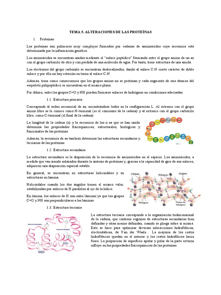 TEMA 5. Alteraciones de Las Proteínas | PDF | Proteínas | Aminoácidos