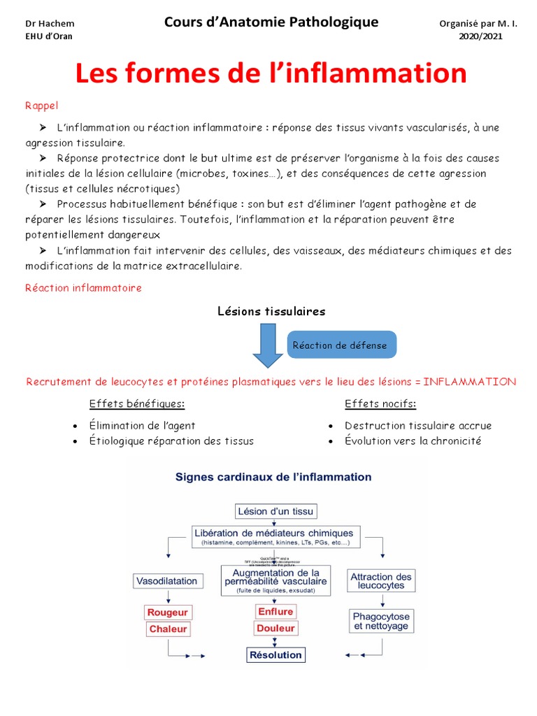 Les formes de l'inflammation | PDF | Inflammation | Spécialités médicales