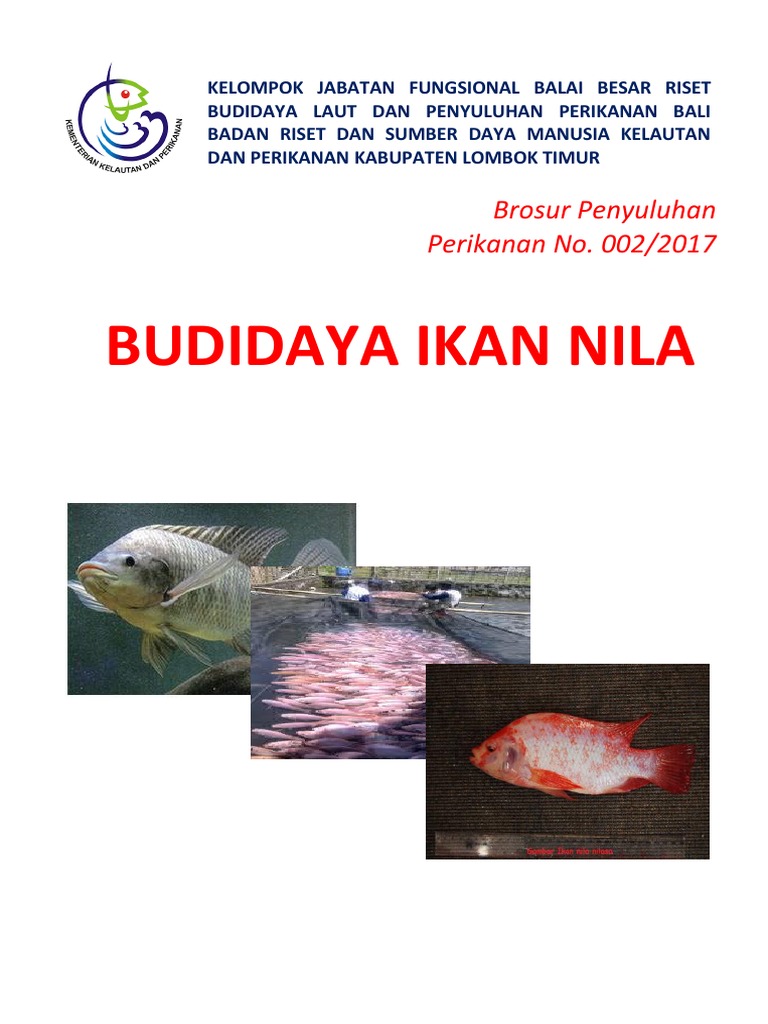 BROSUR Budidaya Ikan Nila | PDF