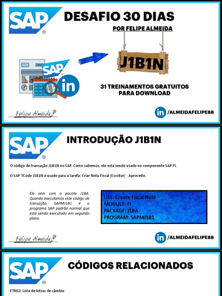 Guia SAP J1B1N para Profissionais FI | PDF | Informática