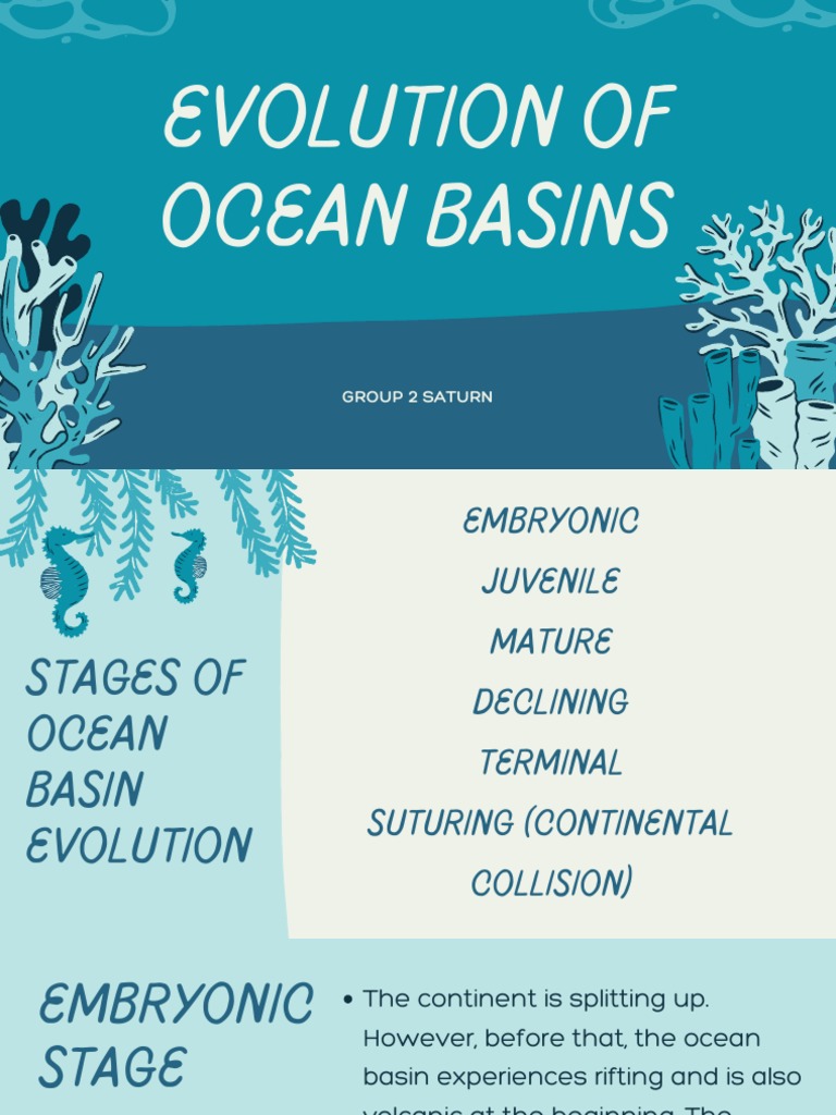 Evolution of Ocean Basins | PDF | Social Science