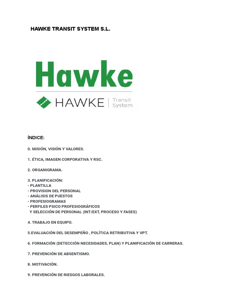 Proyecto de Empresa Hawke Transit System S.L | PDF | Liderazgo | Business