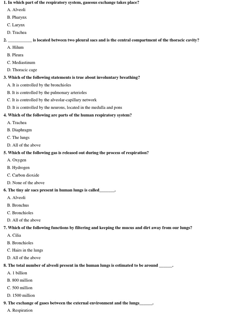 Respiratory System Quiz Questions | PDF | Lung | Respiratory System