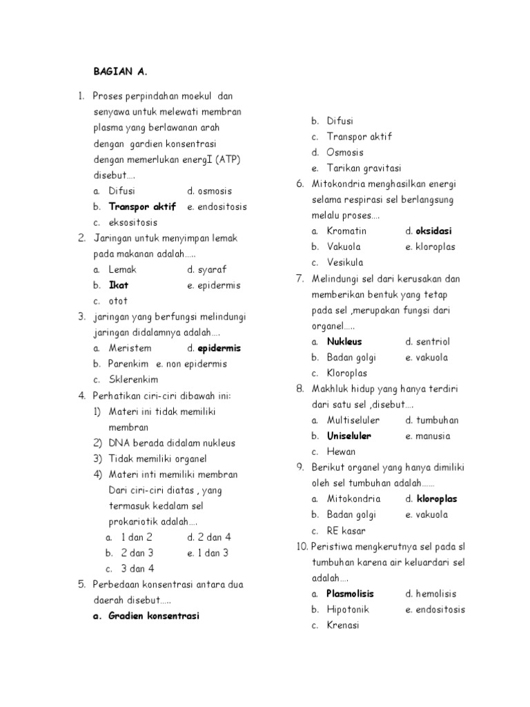 Uh Bio Xi 2 Kunci | PDF
