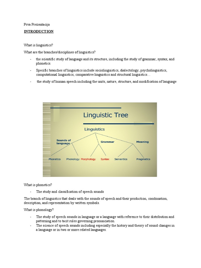 Linguistics | PDF | Part Of Speech | Verb