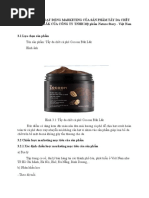 Chiến Lược Định Giá Cocoon | PDF