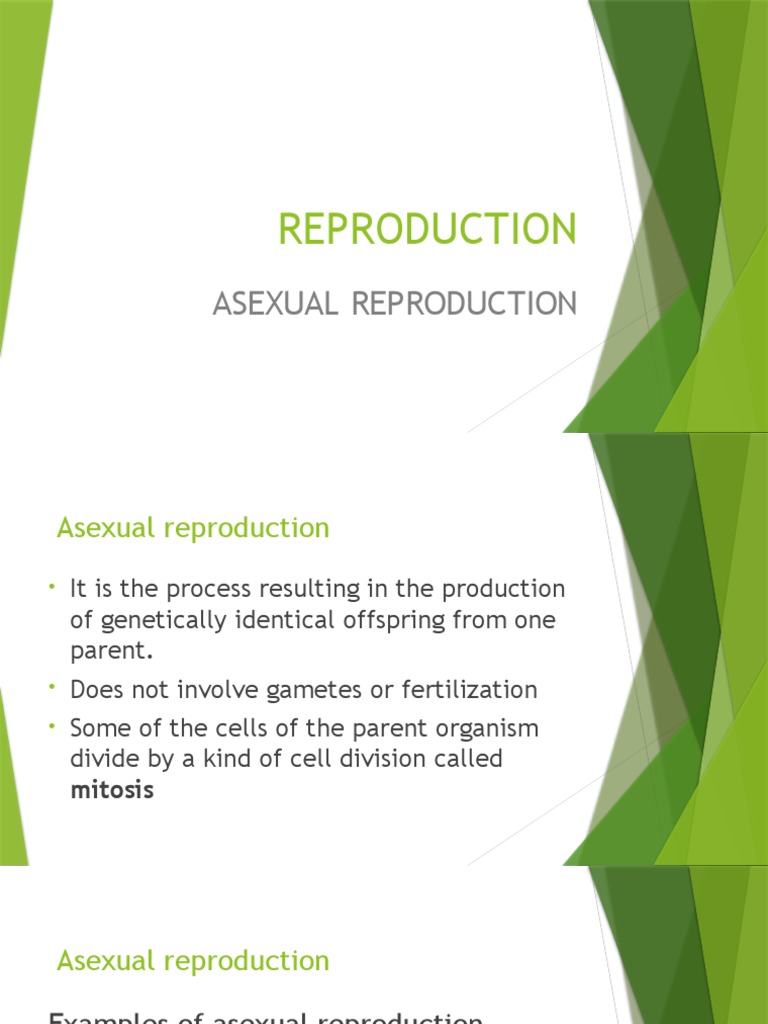 Asexual Reproduction in Organisms | PDF | Sexual Reproduction ...