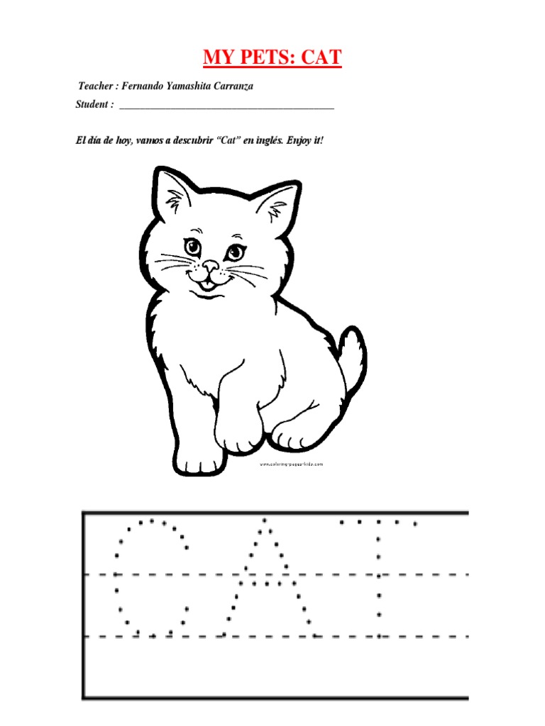 My Pets - Cat | PDF
