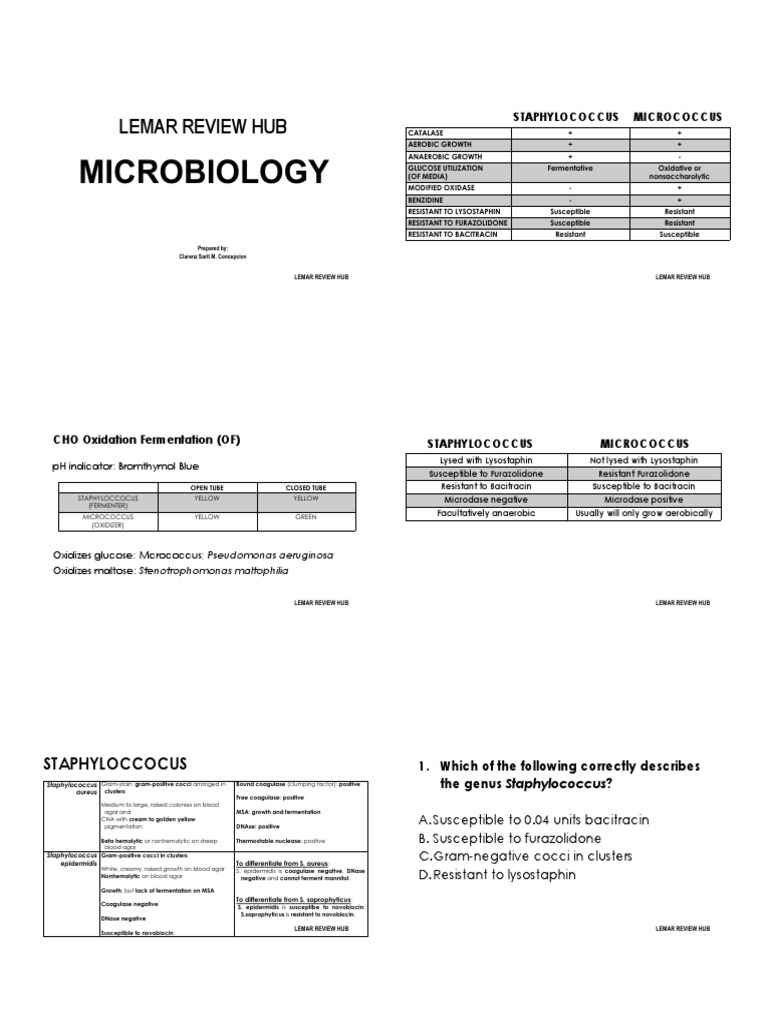 Microbiology Review Handout | PDF | Streptococcus | Staphylococcus