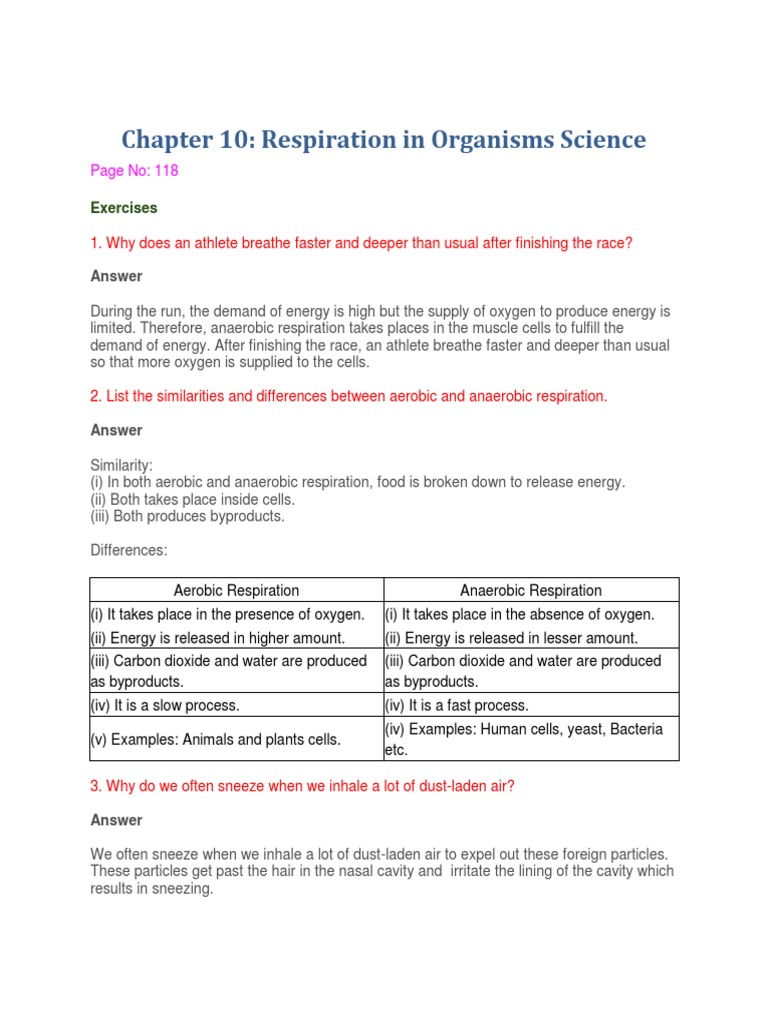 Chapter 10: Respiration in Organisms Science: Page No: 118 | Download Free PDF | Respiratory ...