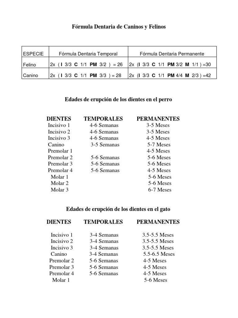 Fórmula Dentaria | PDF