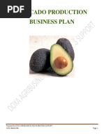 Avocado Ripeness Stages Guide | PDF | Avocado | Edible Fruits