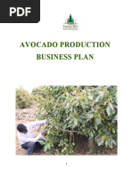 Hass Avocado Farming Guide | PDF | Grafting | Avocado
