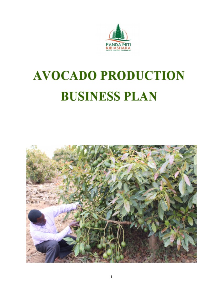 AVOCADOs BP | PDF | Avocado | Vegetables