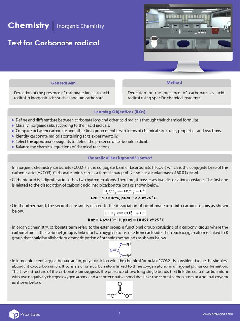 Detecting Carbonate Ions in Salts | PDF | Carbonate | Salt (Chemistry)