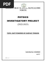 Floating Paper Clip Experiment Explained | PDF | Surface Tension | Water