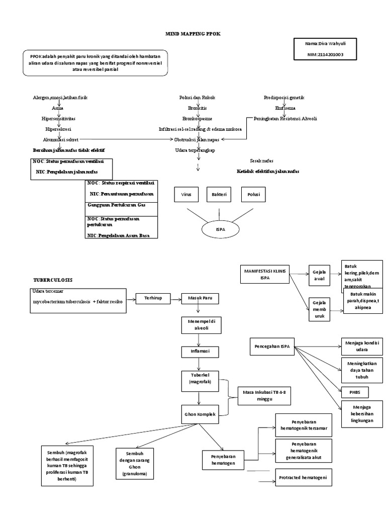 Mind Mapping untuk PPOK dan Asma | PDF