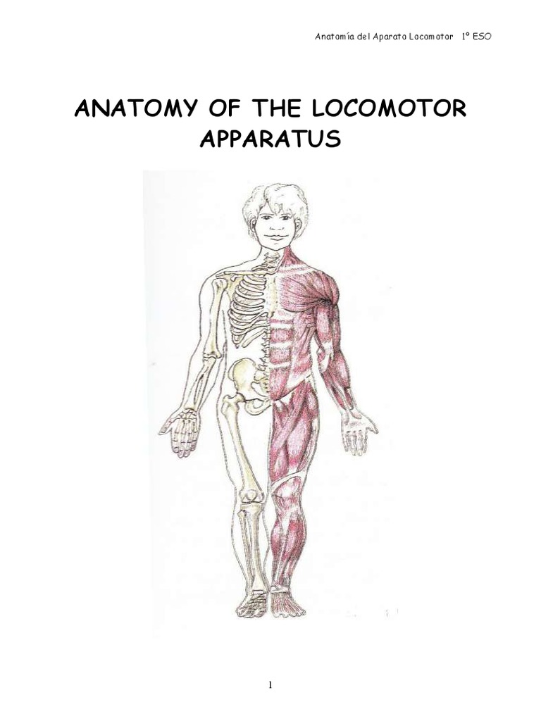 1 Human Body. Anatomy | PDF