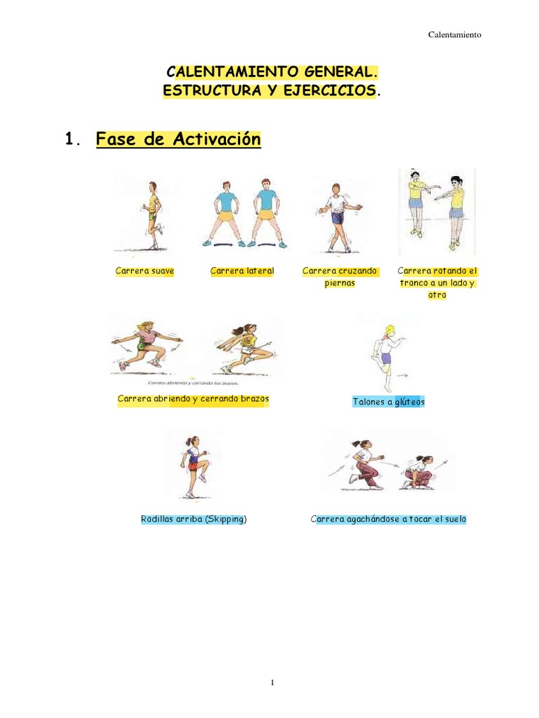 Fases y Ejercicios para Un Calentamiento General | PDF | La columna ...