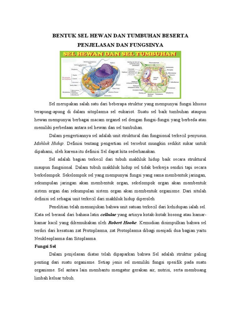 Dokumen - Tips - Bentuk Sel Hewan Dan Tumbuhan Beserta Penjelasan Dan ...
