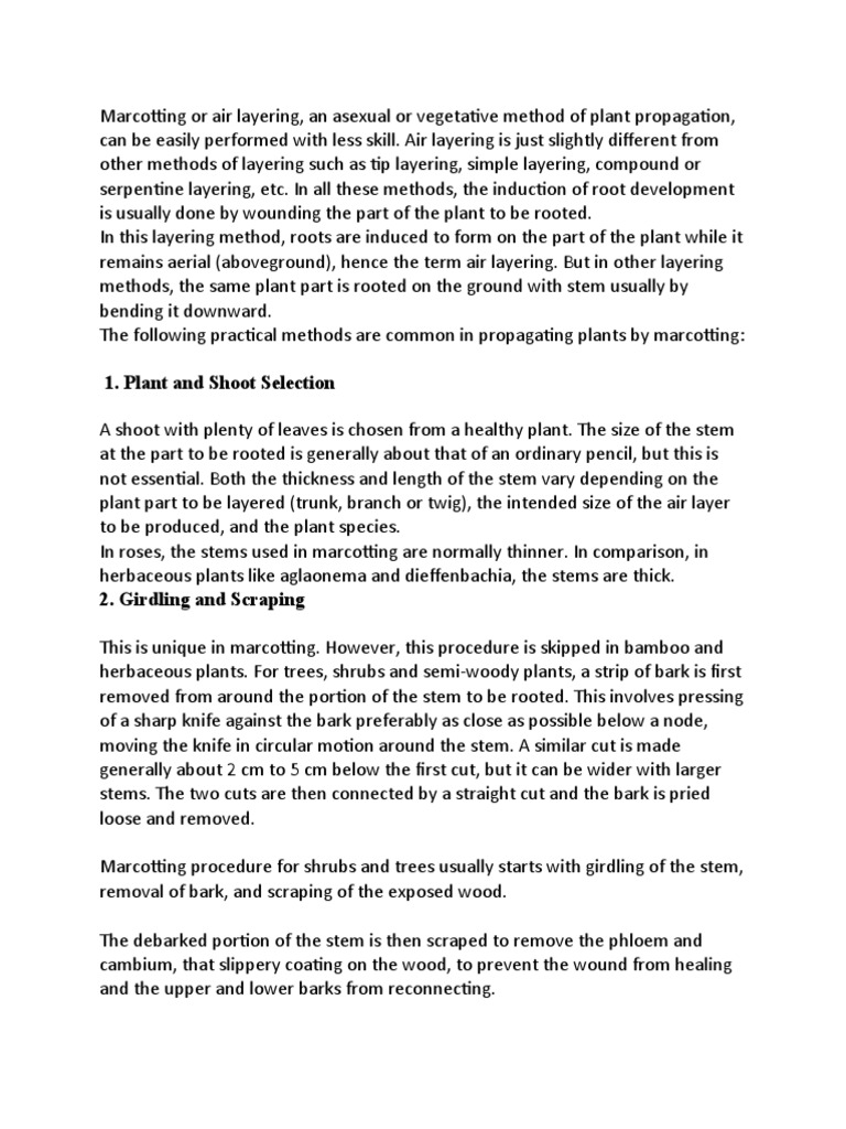 Learn Marcotting | Download Free PDF | Grafting | Trees