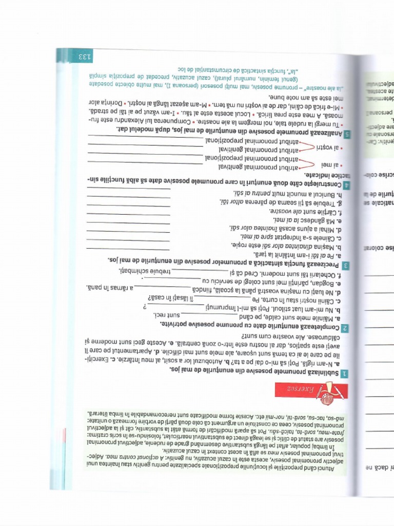 Pronumele Posesiv 1 | PDF