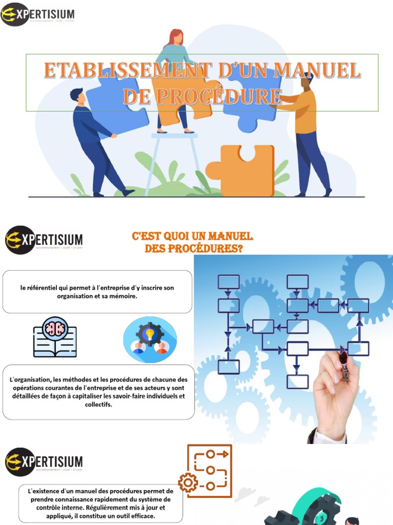 Établissement d'un Manuel de Procédures | PDF | Contrôle interne | Business