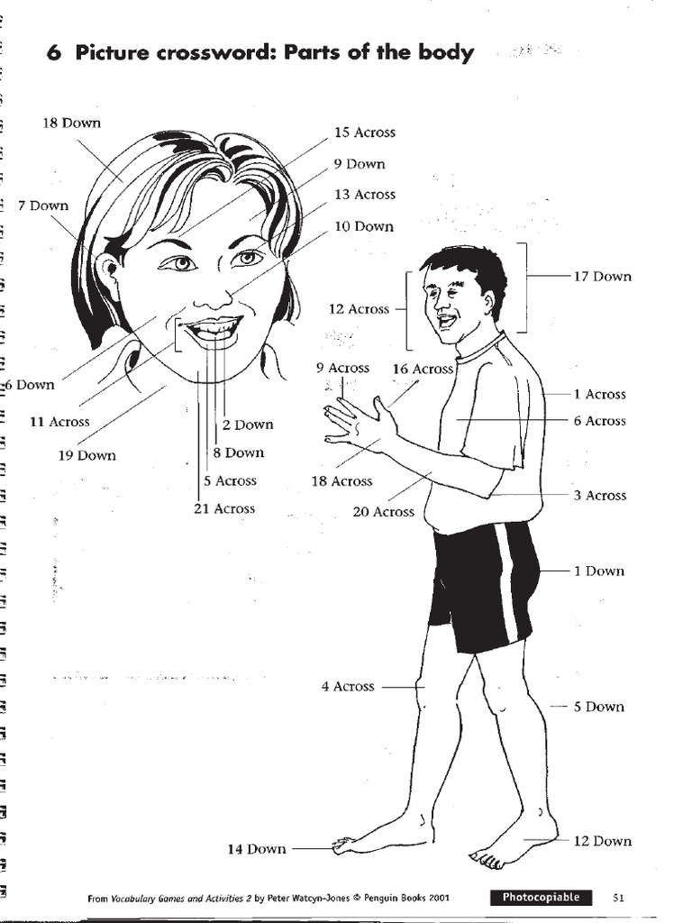 6 Parts of The Body Crossword With KEY | PDF
