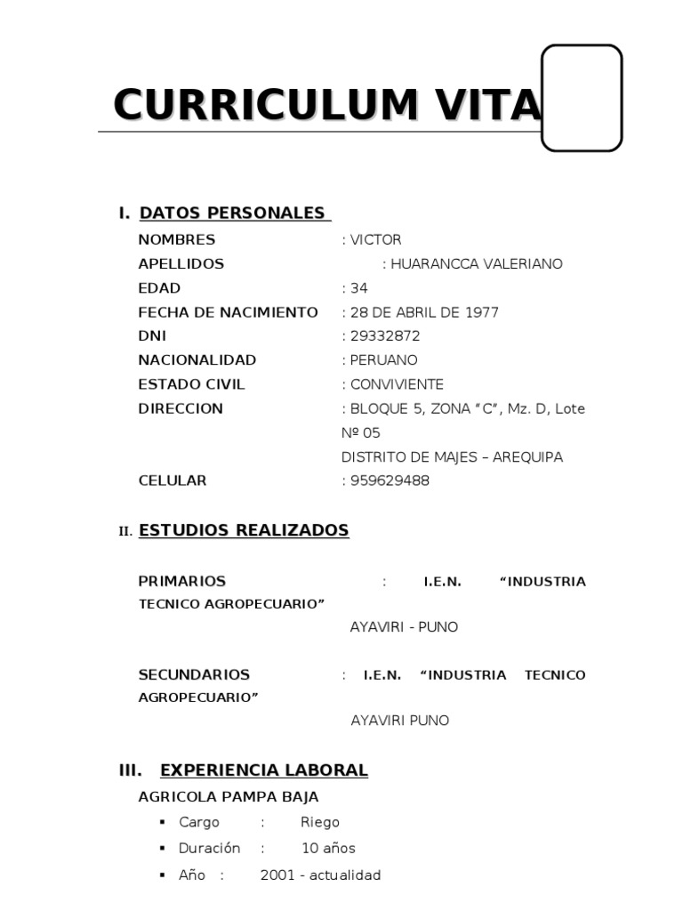 Curriculum Vitae Simple | PDF