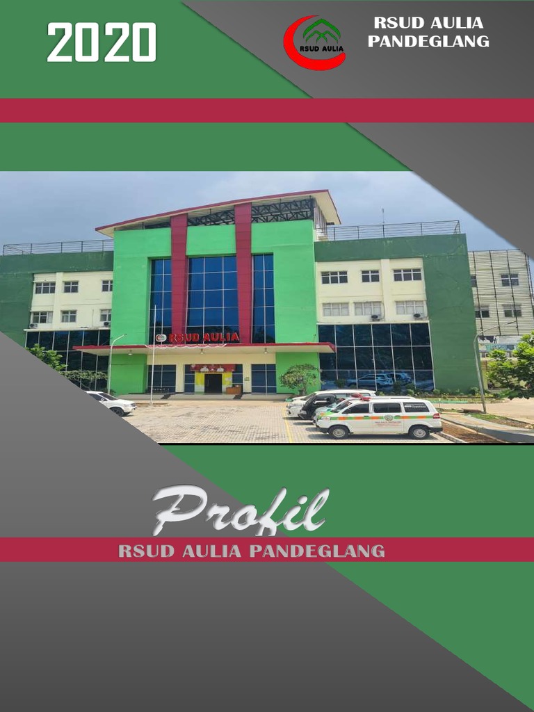 Profil RSUD Aulia Pandeglang 2020 | PDF | Kesehatan Holistik